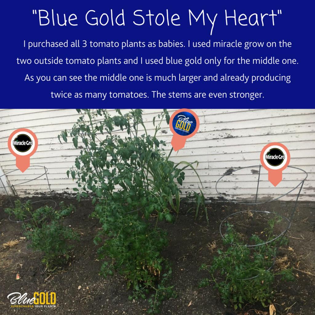 BlueGold® Garden Blend (Plant Food) - Eden BlueGold®